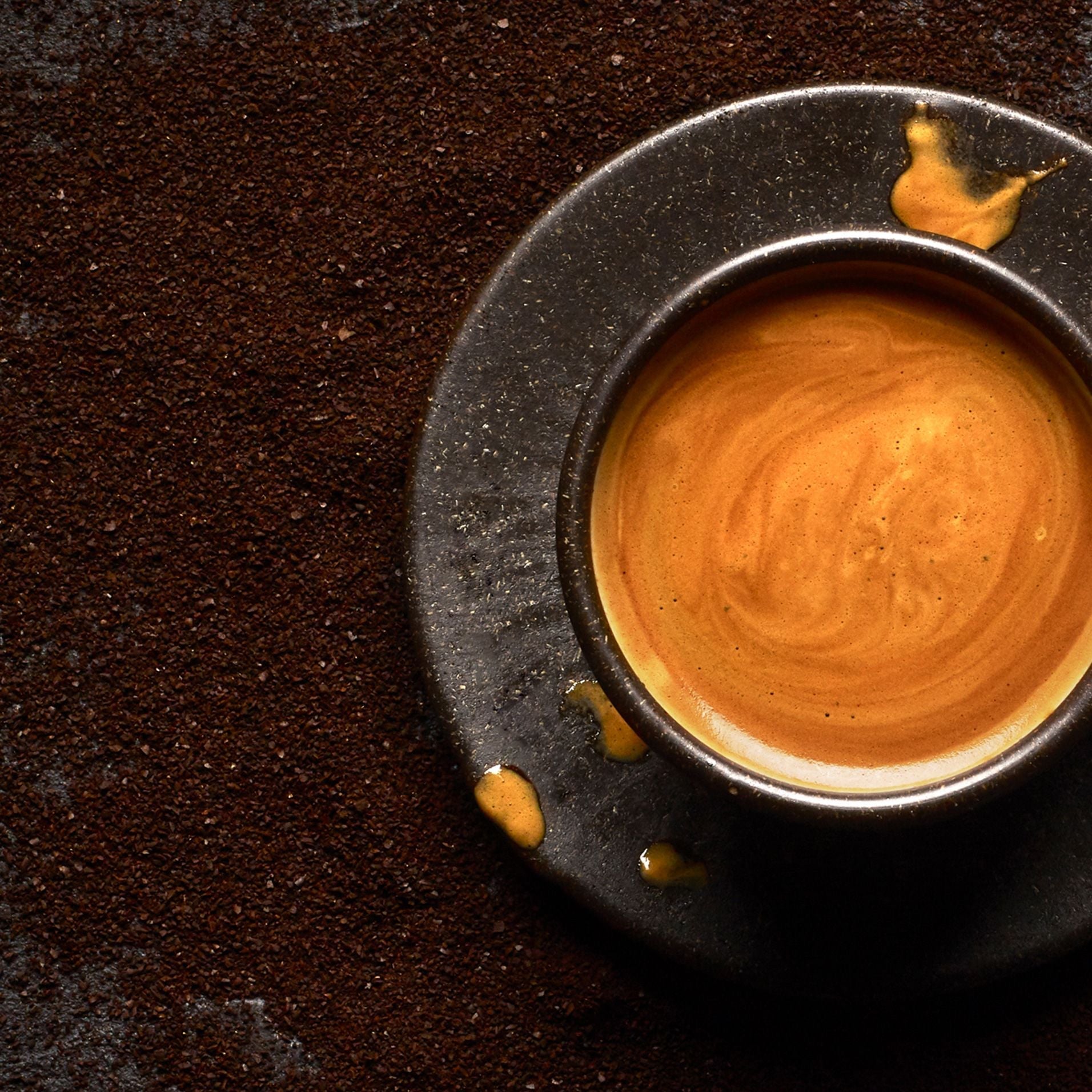 Strong Roots – Kicking Horse Coffee - Canada